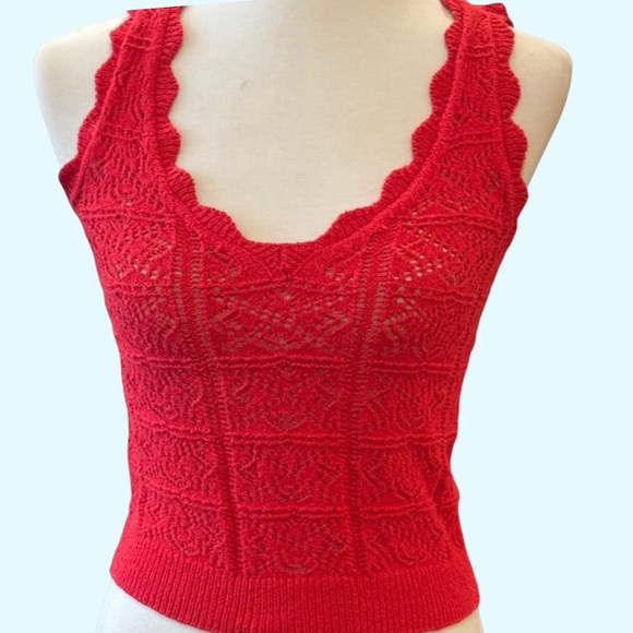 Mango | Tops | Mng Mango Crotchet Scalloped V Neckline Cropped Ribbed ...
